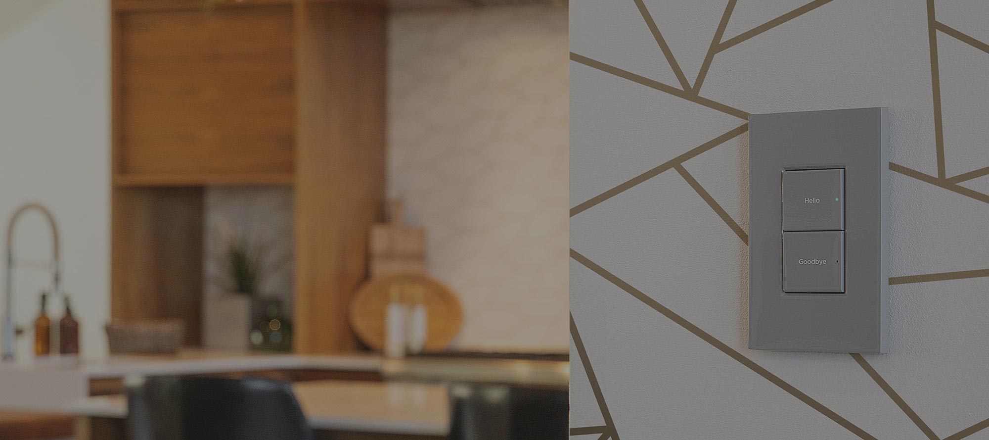 Control4 Switches | Redfli Electronics